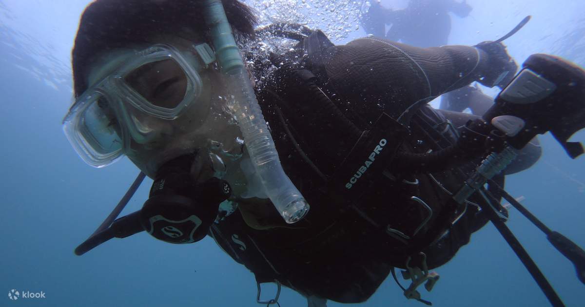 PADI 5스타 IDC와 함께하는 PADI 오픈 워터 다이버 오사카 4일 - 클룩 Klook 한국